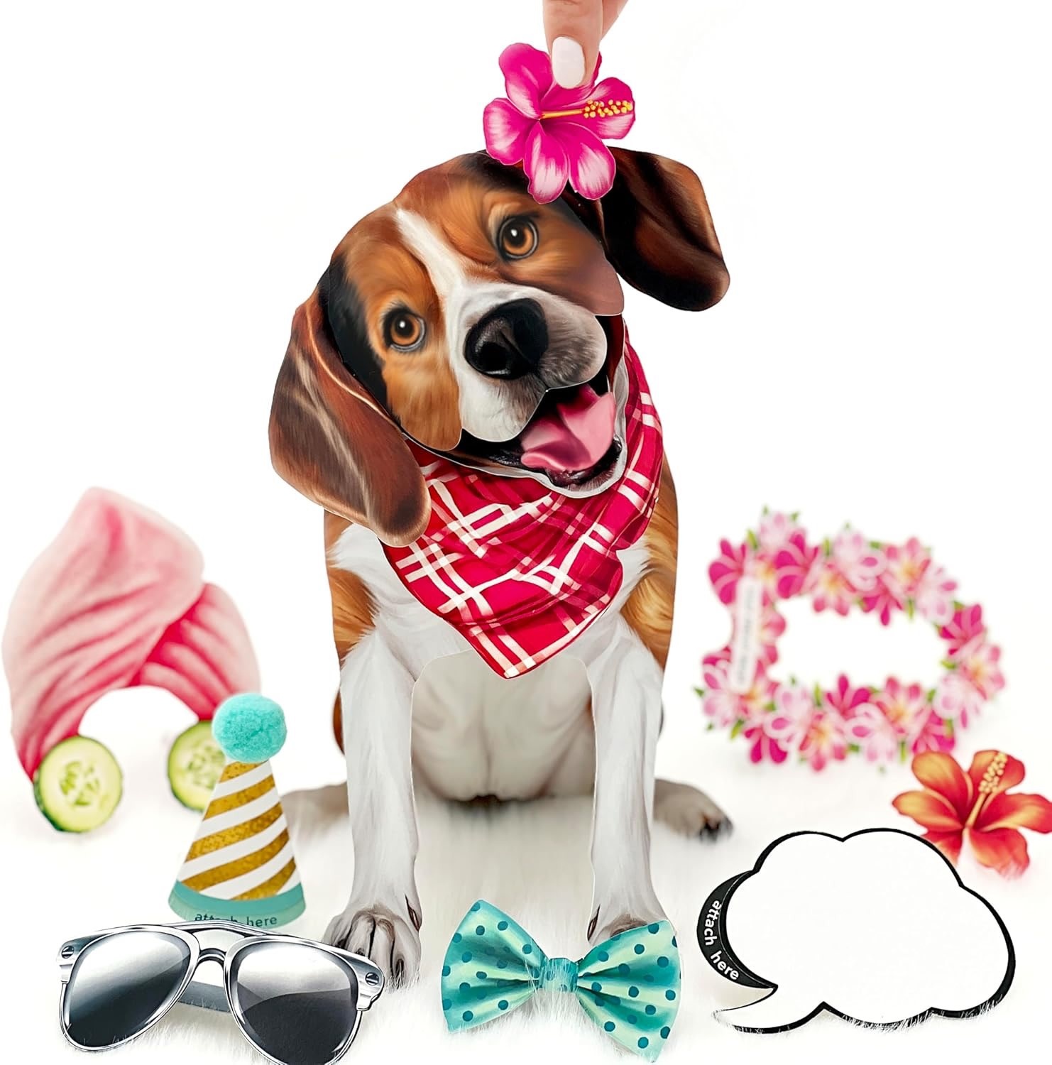 Pop Up Pet Cards | Beagle Pop-Up Card - Digs N Gifts