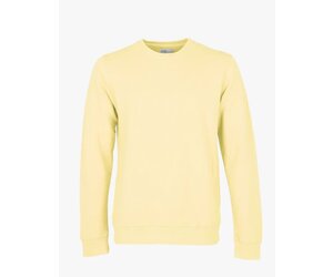 Classic Organic Crew in Soft Yellow - Eastwood Ave. Menswear