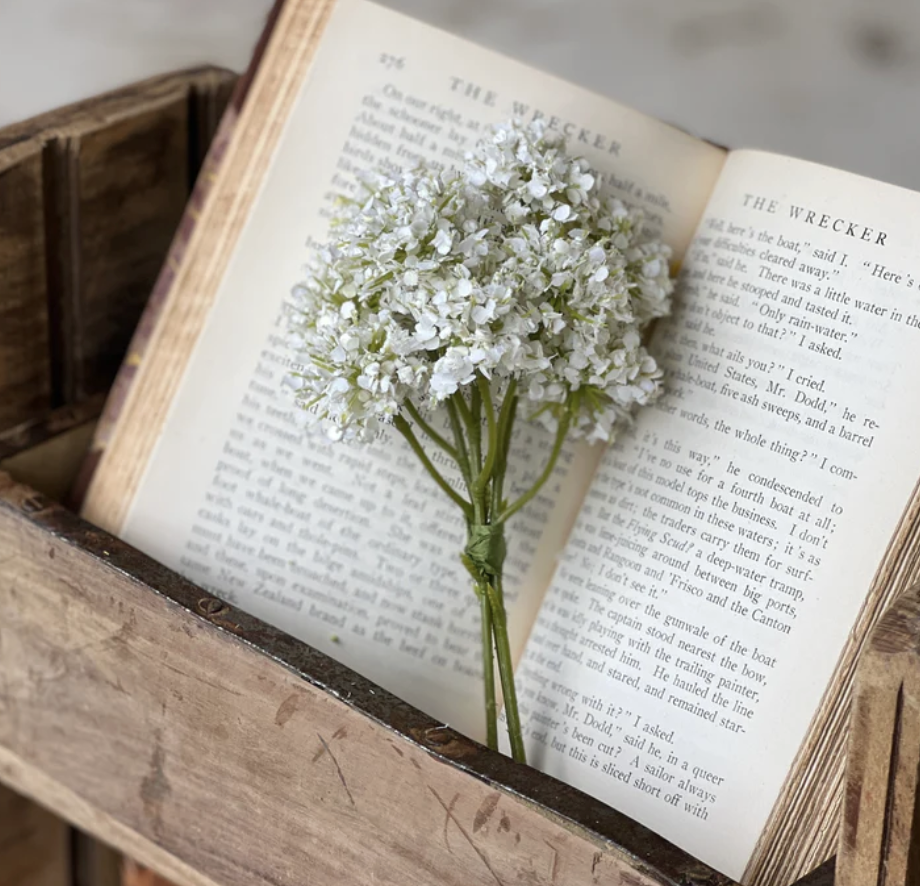 Mayflower Bloom - The Good Tree