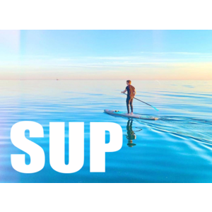 Alternative Groove Boardshop - Alternative Groove Boardshop