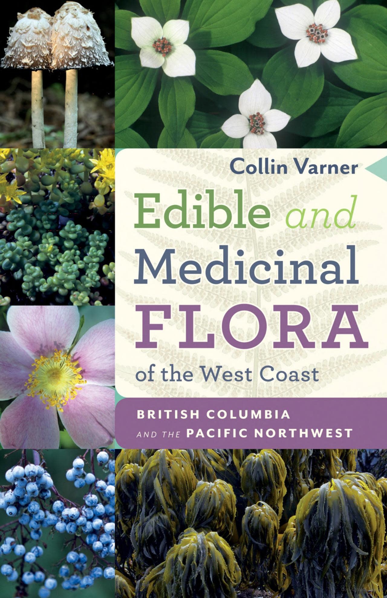 Edible and Medicinal Flora of the west Coast- Colin Vaner - Stó∶lō Gift ...