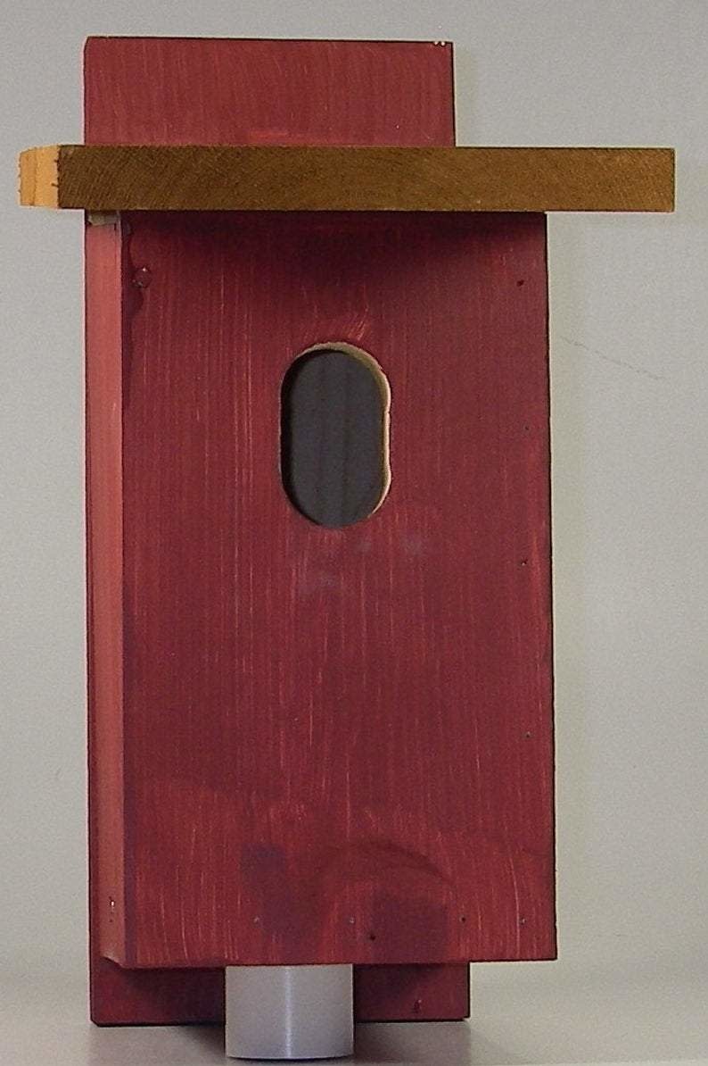 Timberway Designs Bird House - Bluebird Square - The Local Store