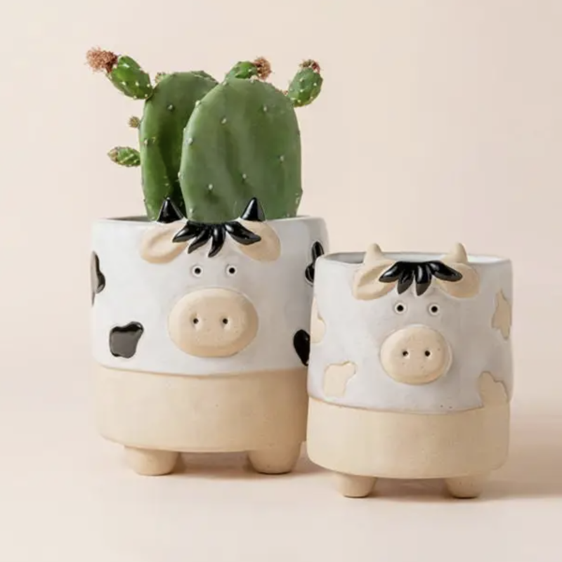 Planters - The Local Store