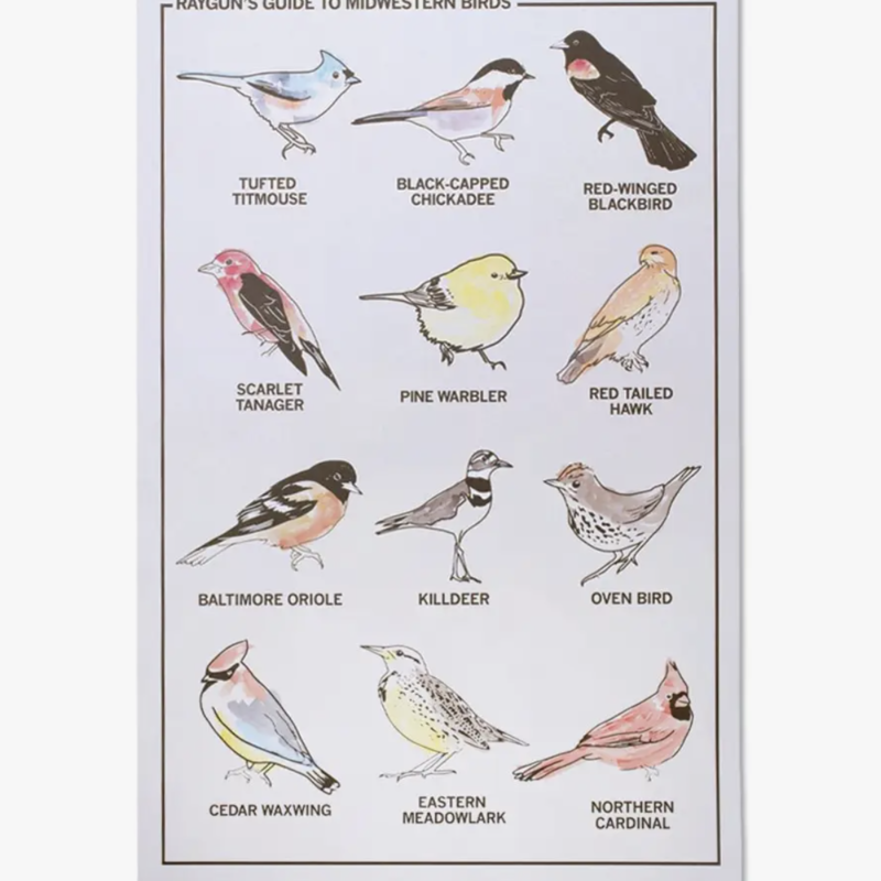 Art - The Local Store