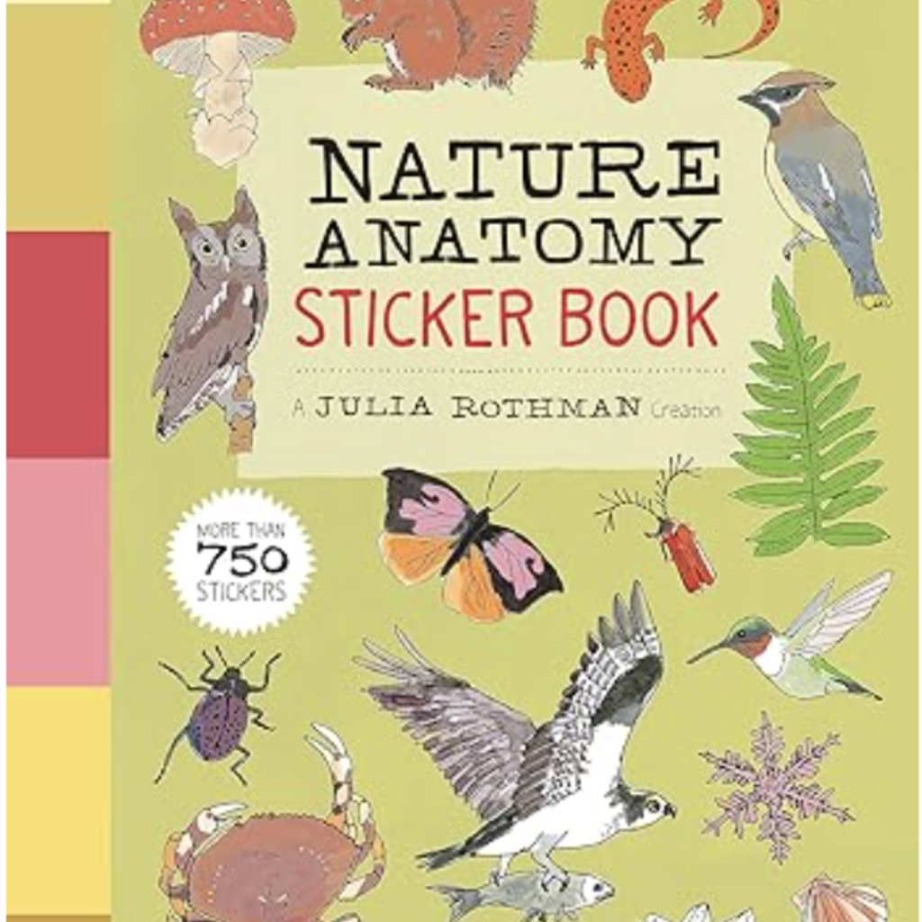 Nature Anatomy Sticker Book: A Julia Rothman Creation; More Than 750 ...