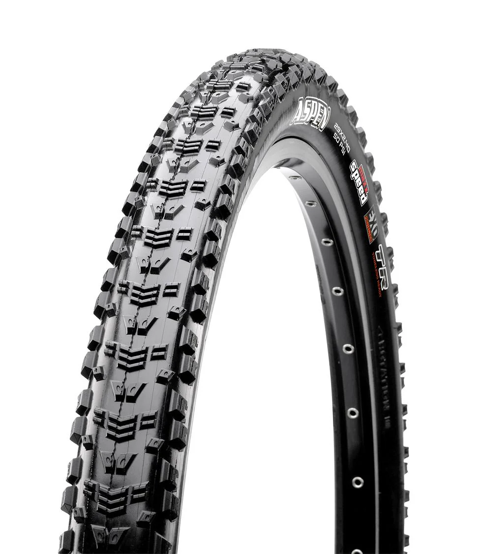 MAXXIS TEAM SPEC 170TPI 29 X - R&D Cycles