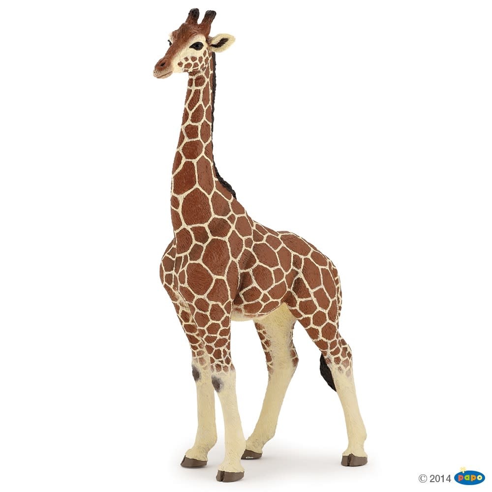 Papo Papo Giraffe Male - Monkey Mountain Toys & Games
