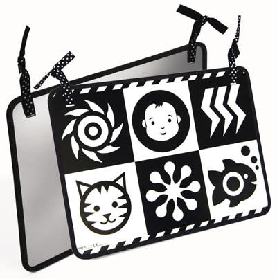 Manhattan Toy Wimmer-Ferguson Double-Feature Mirror - Monkey Mountain ...