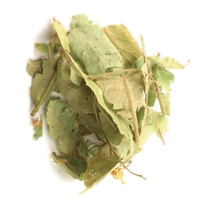 Linden - Bulk Herb - Homsted