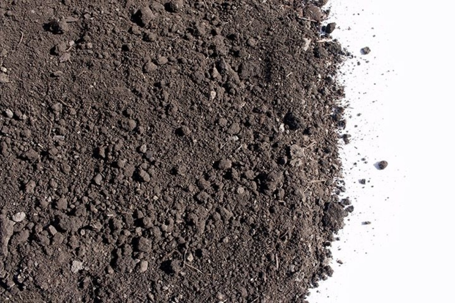 Screened Loam Dirt | Garden Soil for Sod & Lawn | CLS Supply - CLS ...