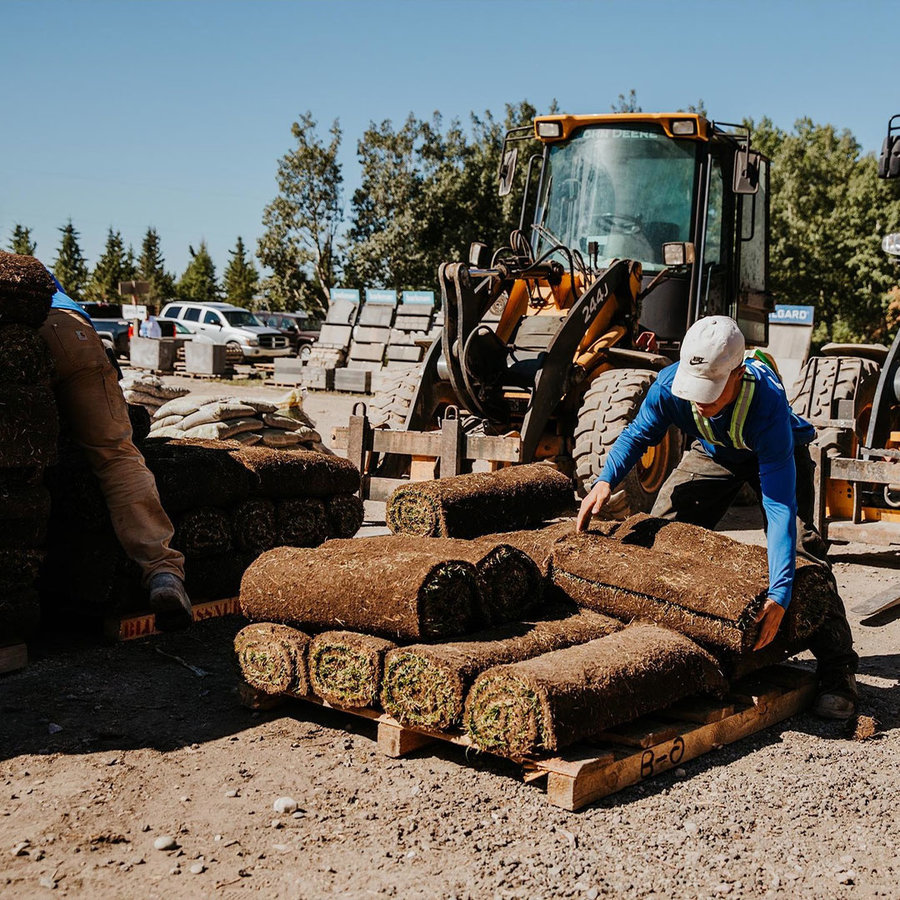 Sod & Artificial Turf | Artificial Grass | Lawn & Turf Options - CLS ...