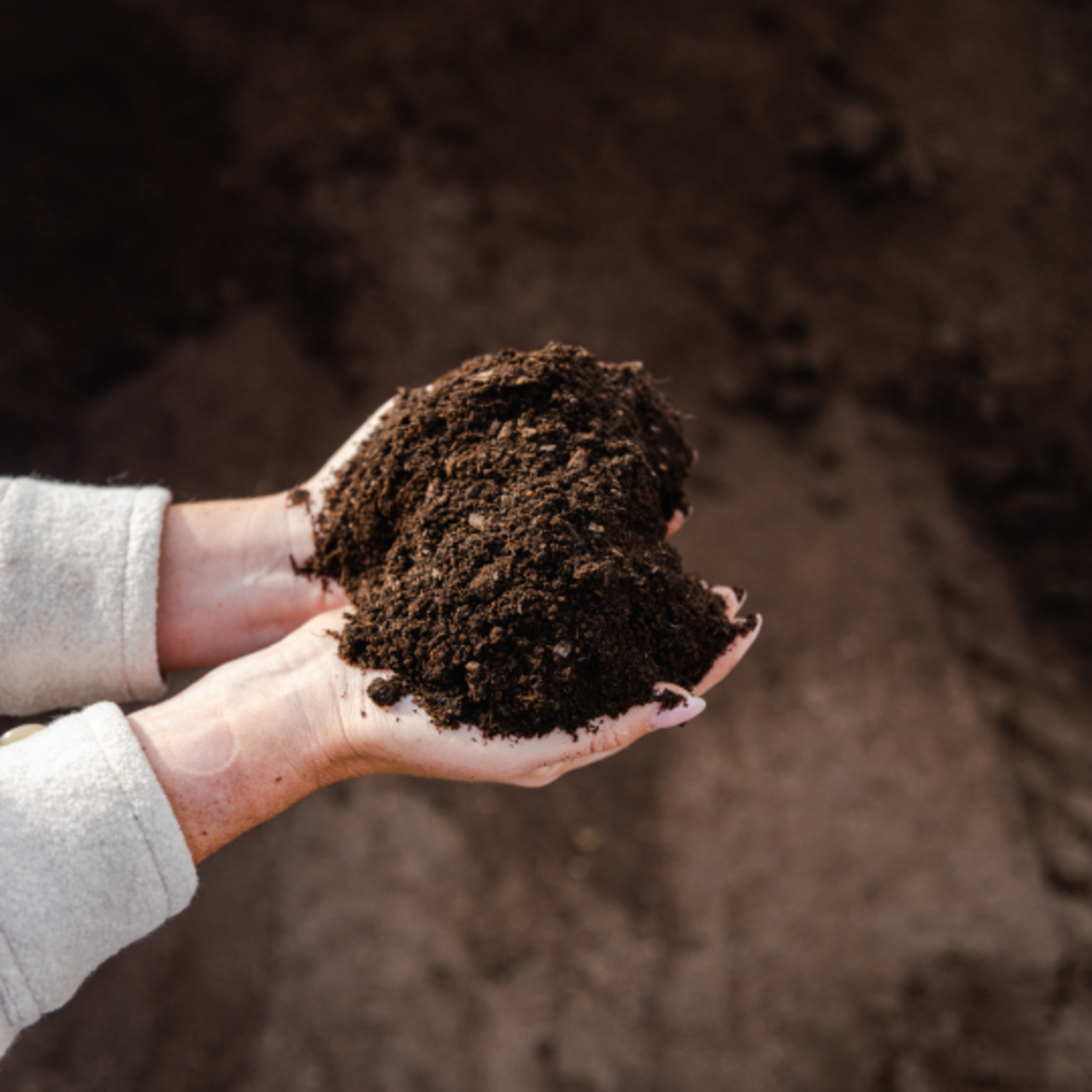 Premium Garden Mix | Nutrient-Rich Soil Blend | Garden Soil Calgary ...