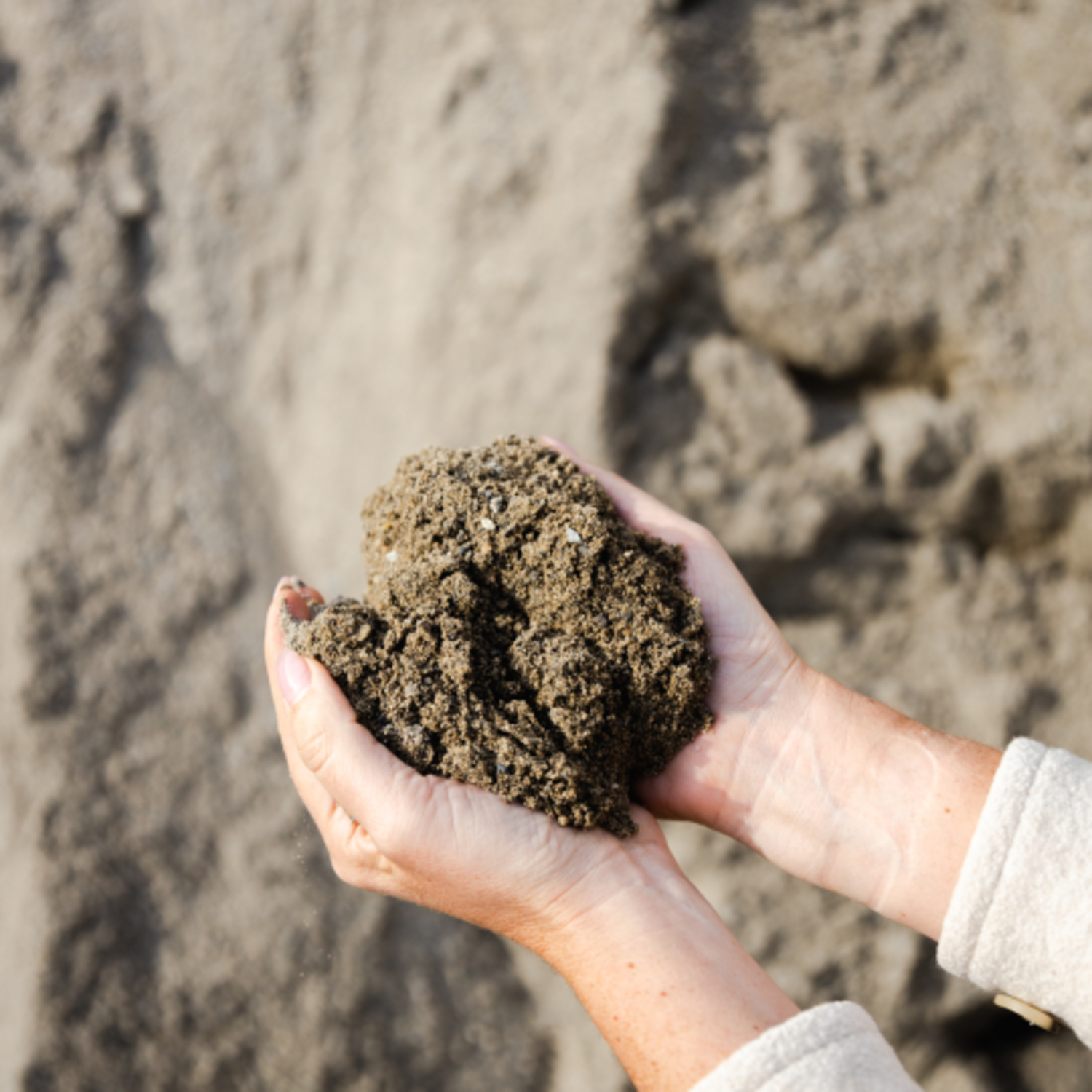 5mm Washed Sand Calgary | Paver Base & Soil Drainage | CLS - CLS ...