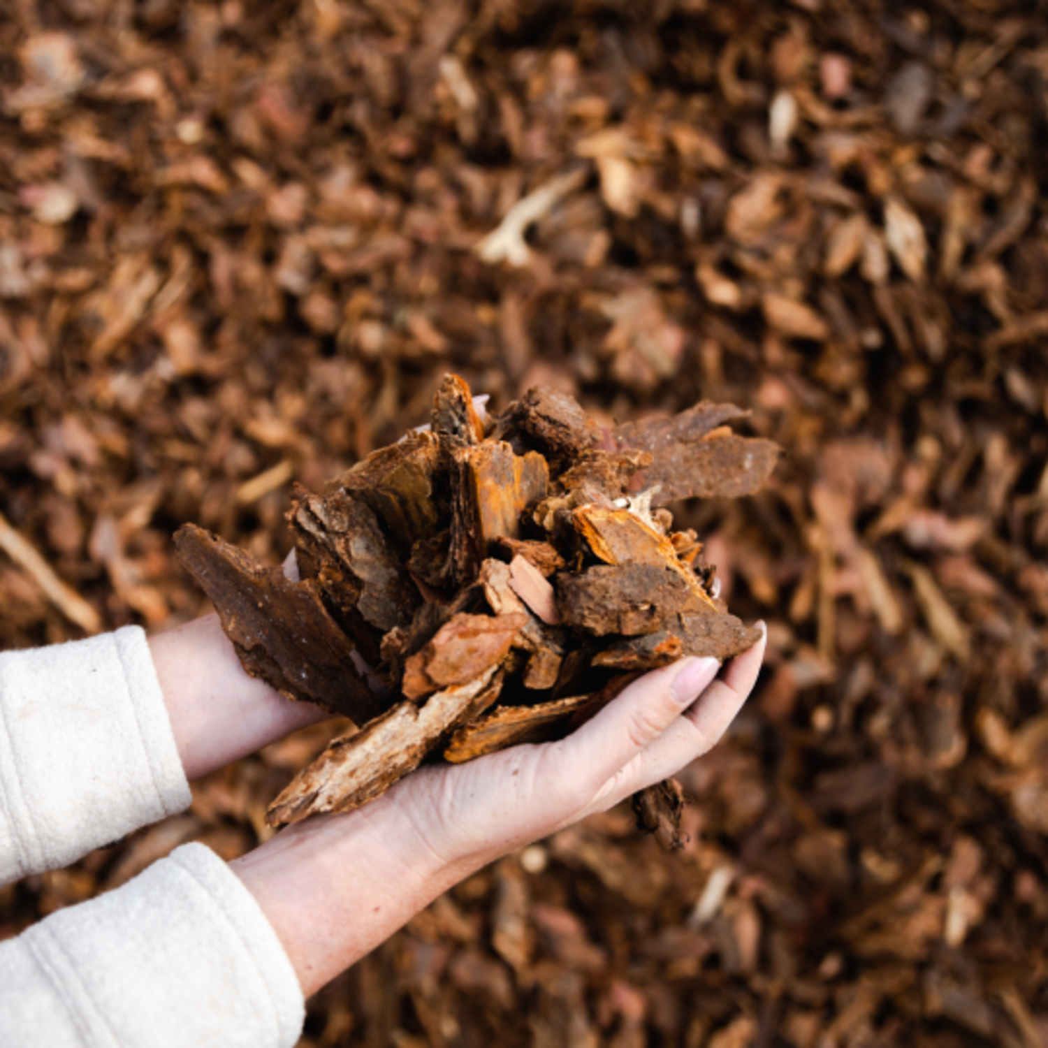 Douglas Fir Bark Nuggets Alberta | Medium Garden Mulch | CLS Supply ...