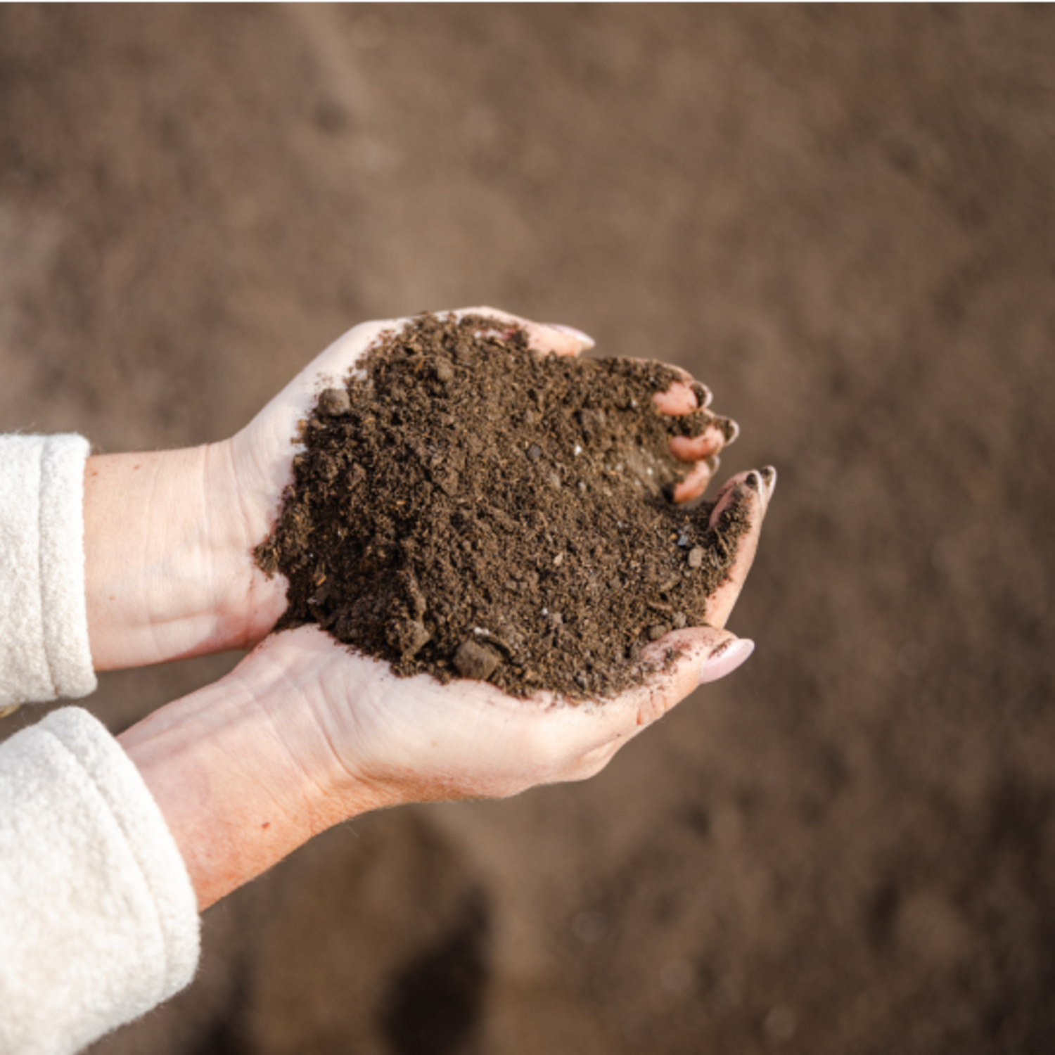 Screened Loam Soil | Landscape Soil Bags for Delivery | CLS - CLS ...