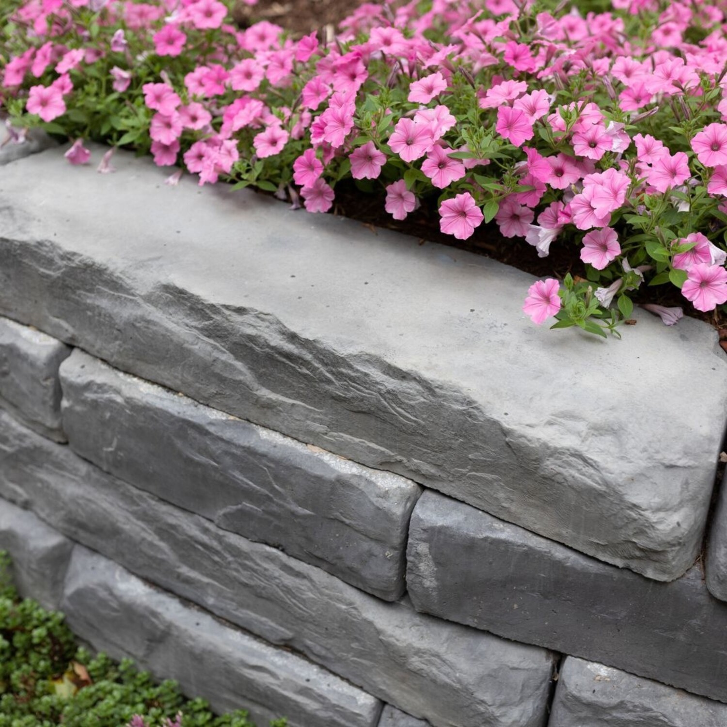 Barkman Rosetta Grand Ledge - CLS Landscape Supply