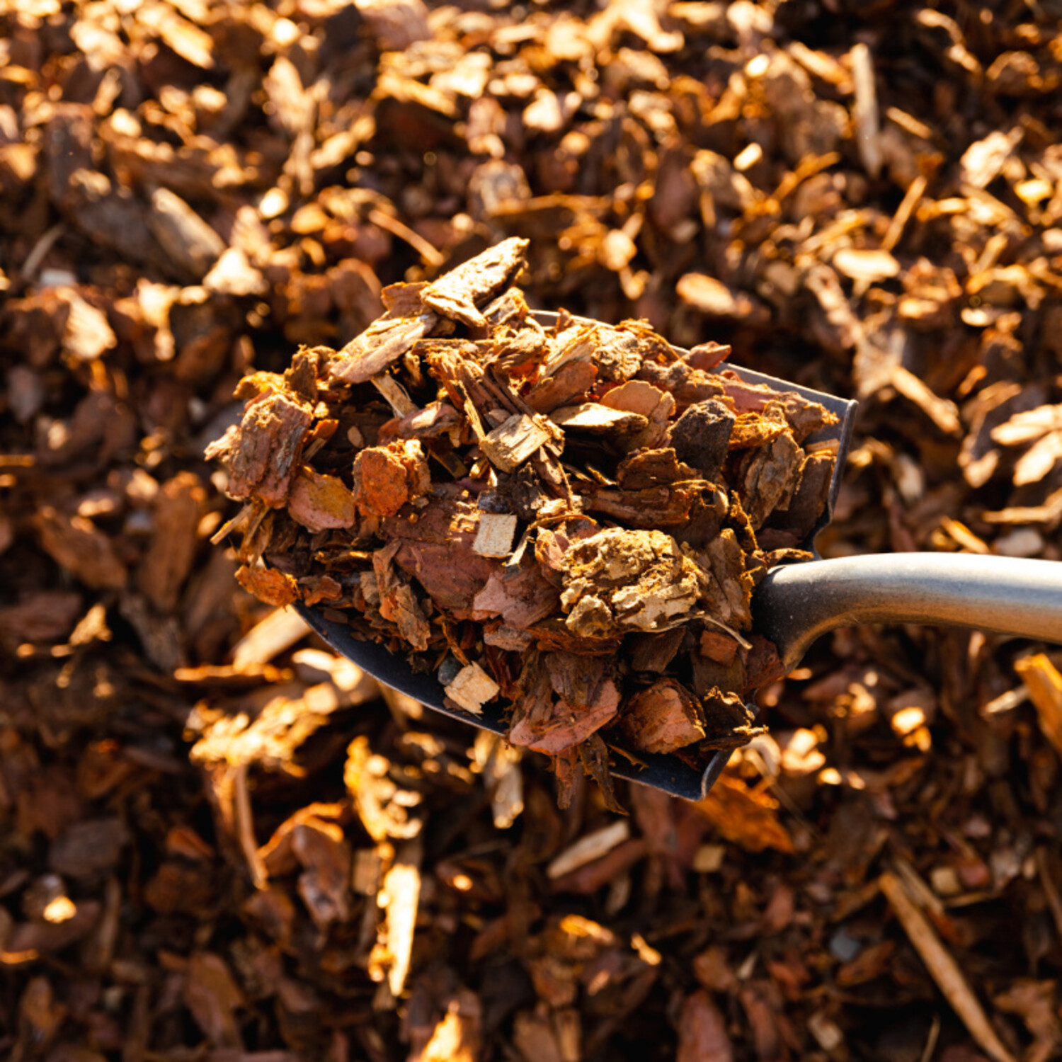 Douglas Fir Bark Nuggets Alberta | Medium Garden Mulch | CLS Supply ...