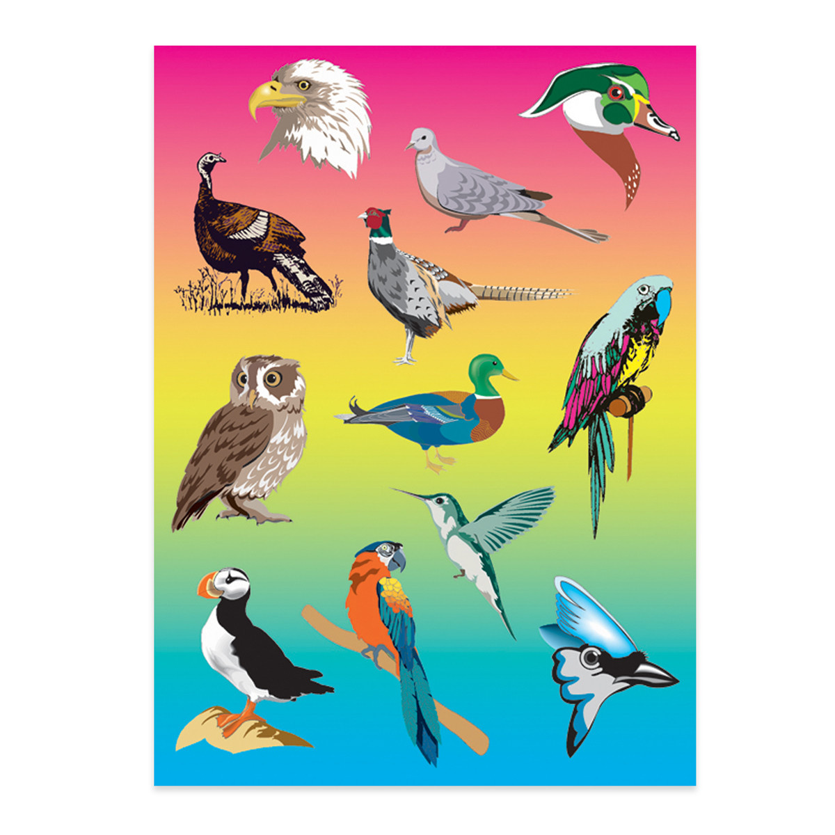 STICKER FORMS - BIRDS 25sheets - Creative Kids