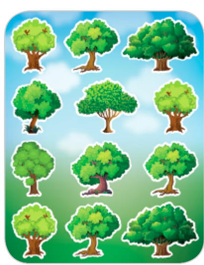 STICKERS: TREES - Creative Kids