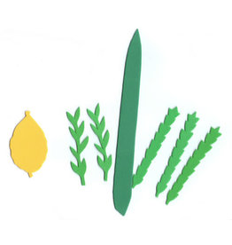 Collection - Creative Kids