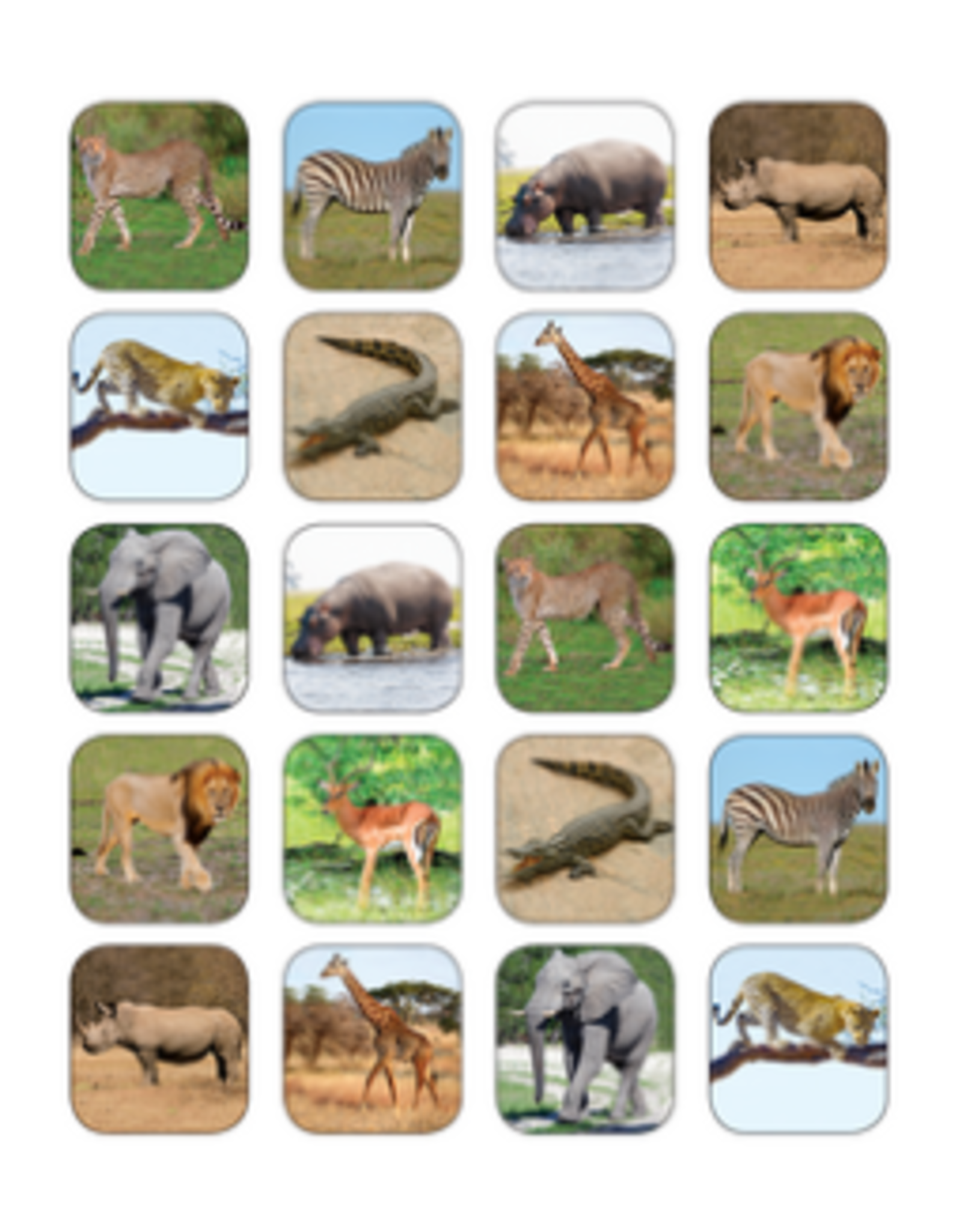 STICKER: SAFARI ANIMALS 120 STICKERS - Creative Kids