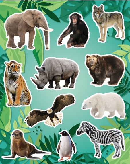 RANENU STICKER: ZOO ANIMALS 6 SHEET - Creative Kids