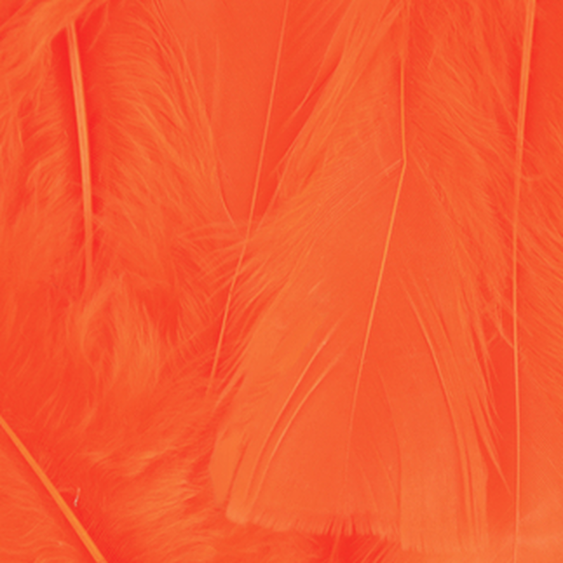 Feathers: Orange 14 GRAMS - Creative Kids