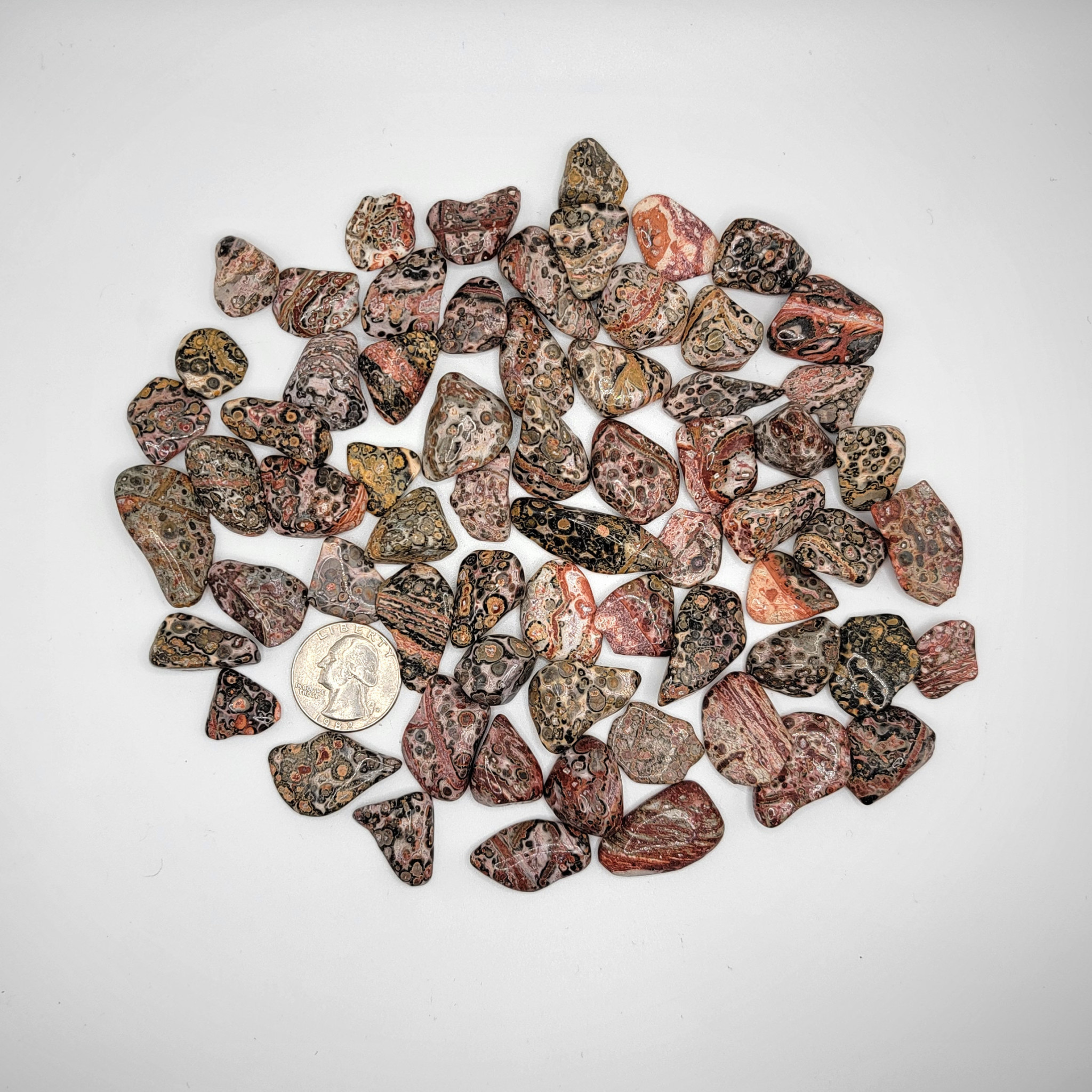 Leopard Skin Jasper - It's About Rocks