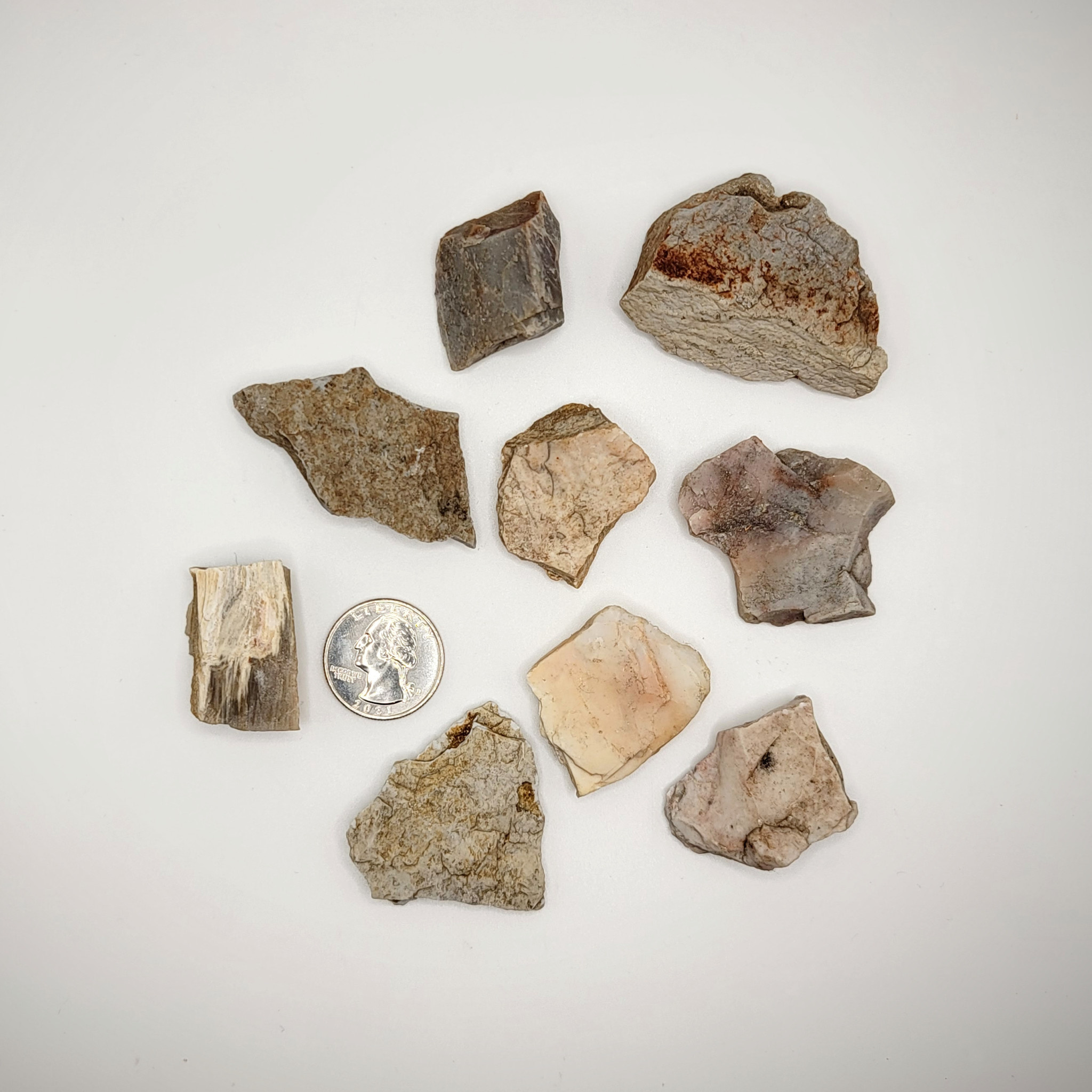 Novaculite Rough - It's About Rocks