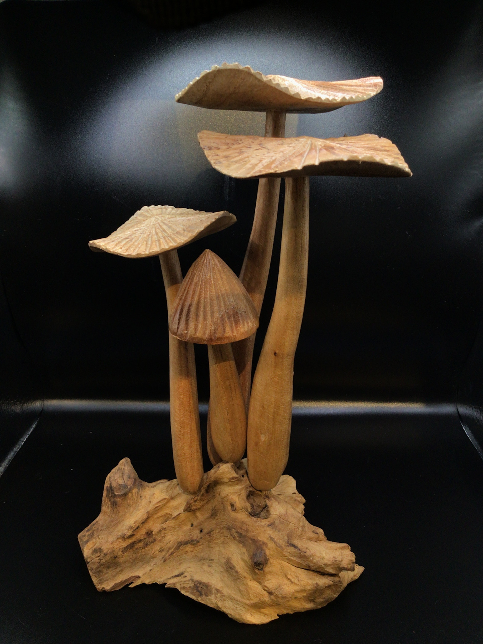 3 Flat 1 Smooth Cap on Root #33 - It's About Rocks