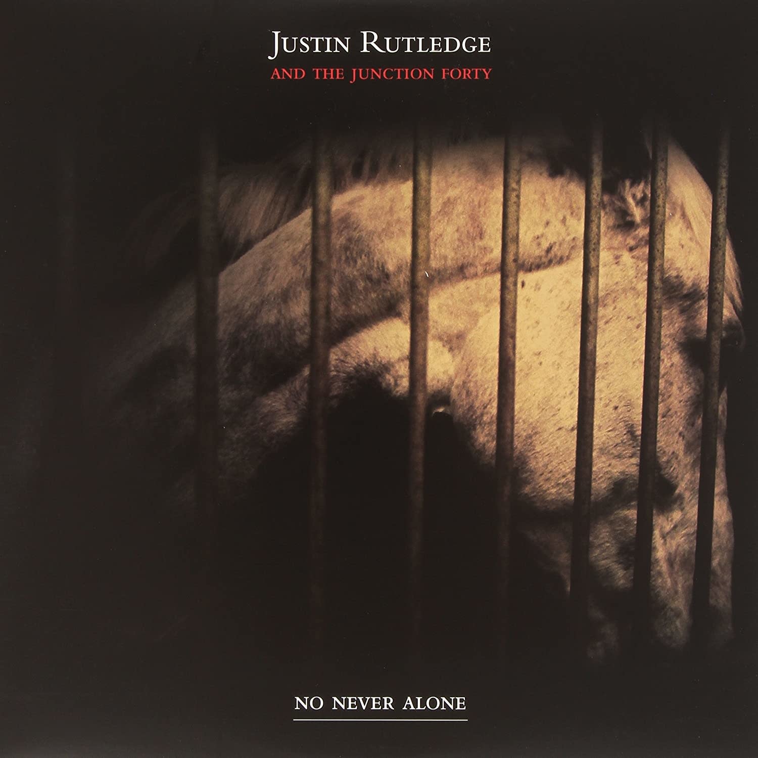 Justin Rutledge - No Never Alone (Vinyl) - Pop Music