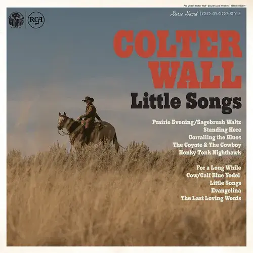 Colter Wall - Little Songs (Exclusive Blue Vinyl) - Pop Music