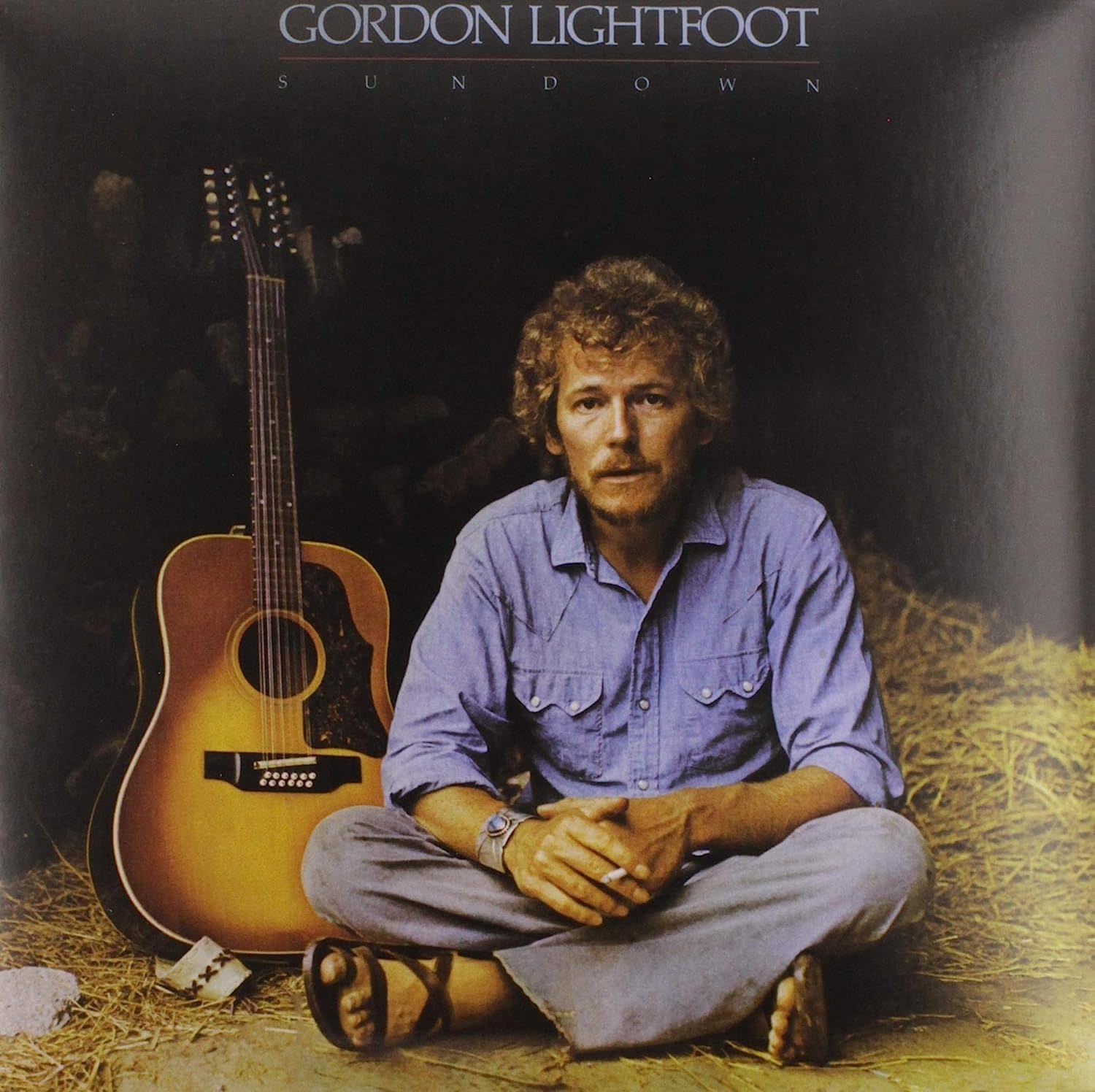 Gordon Lightfoot - Sundown (2013 Remaster) [Vinyl] - Pop Music