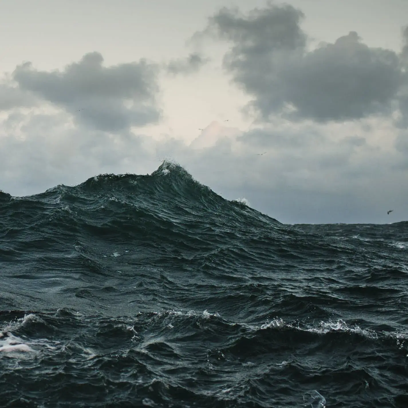 Volcano Choir - Repave [Vinyl] - Pop Music