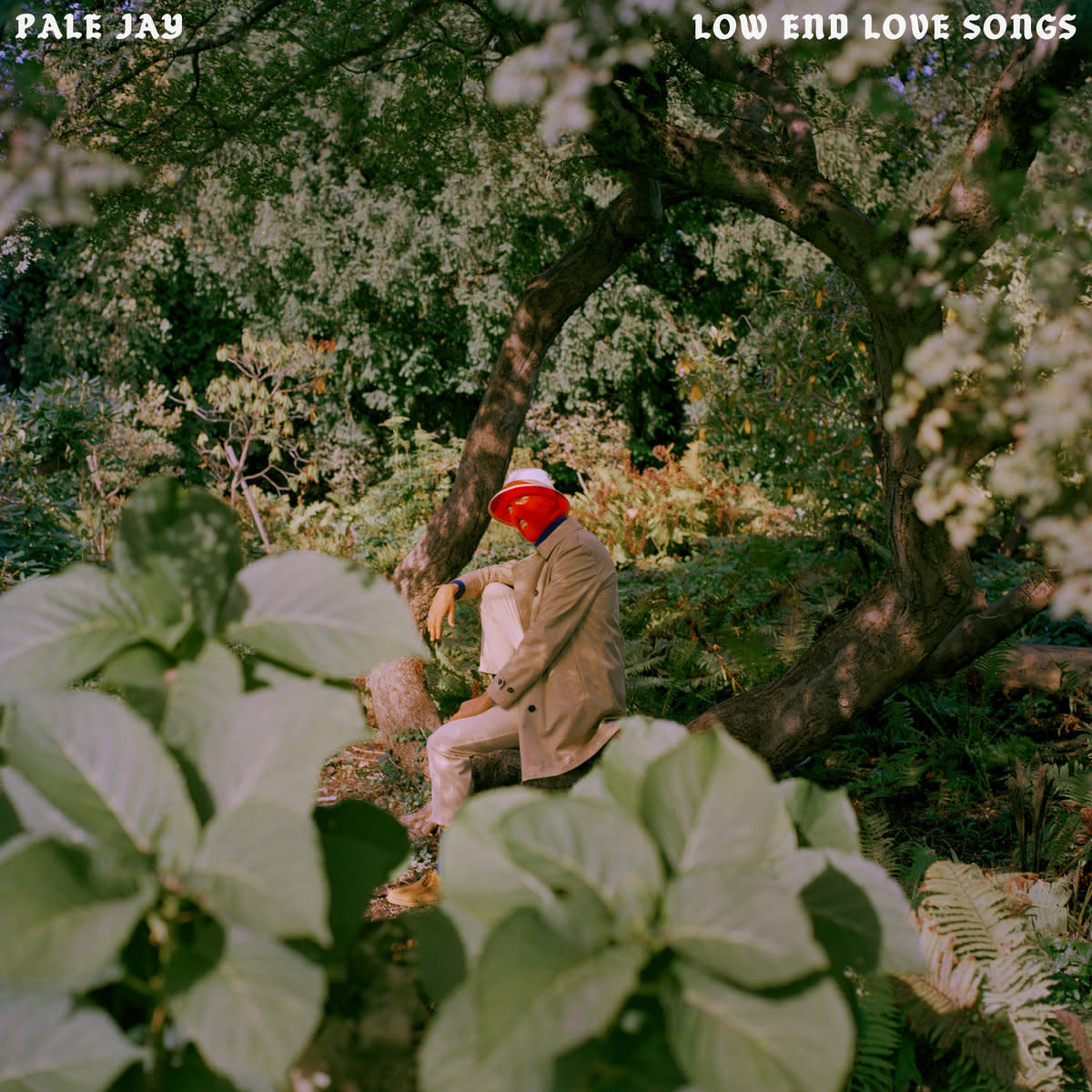 Pale Jay - Low End Love Songs (Storm Cloud Grey Vinyl) - Pop Music