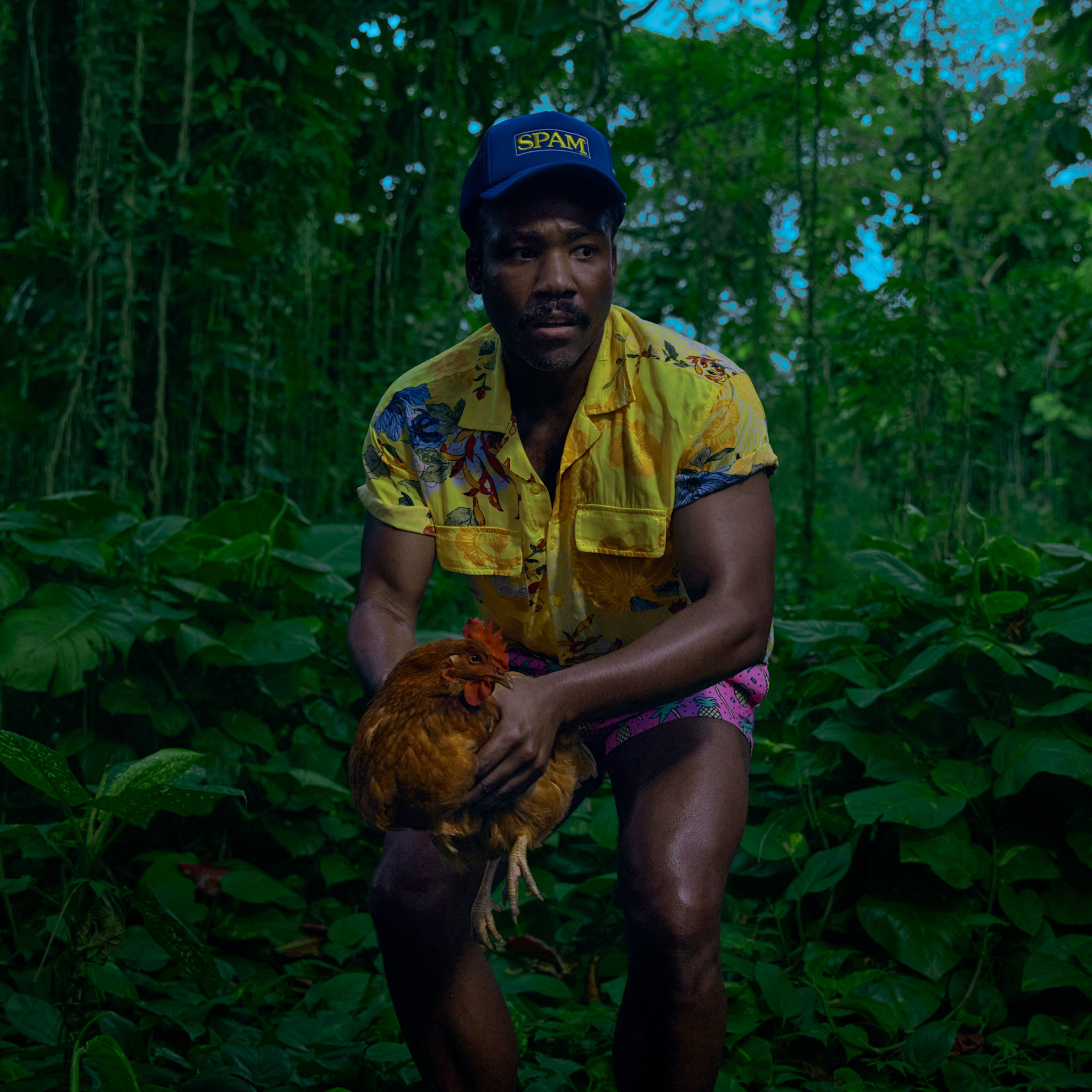 Childish Gambino - Bando Stone and The New World (Vinyl) - Pop Music