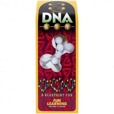 BUILD YOUR OWN DNA MODEL KIT - PM Hobbycraft
