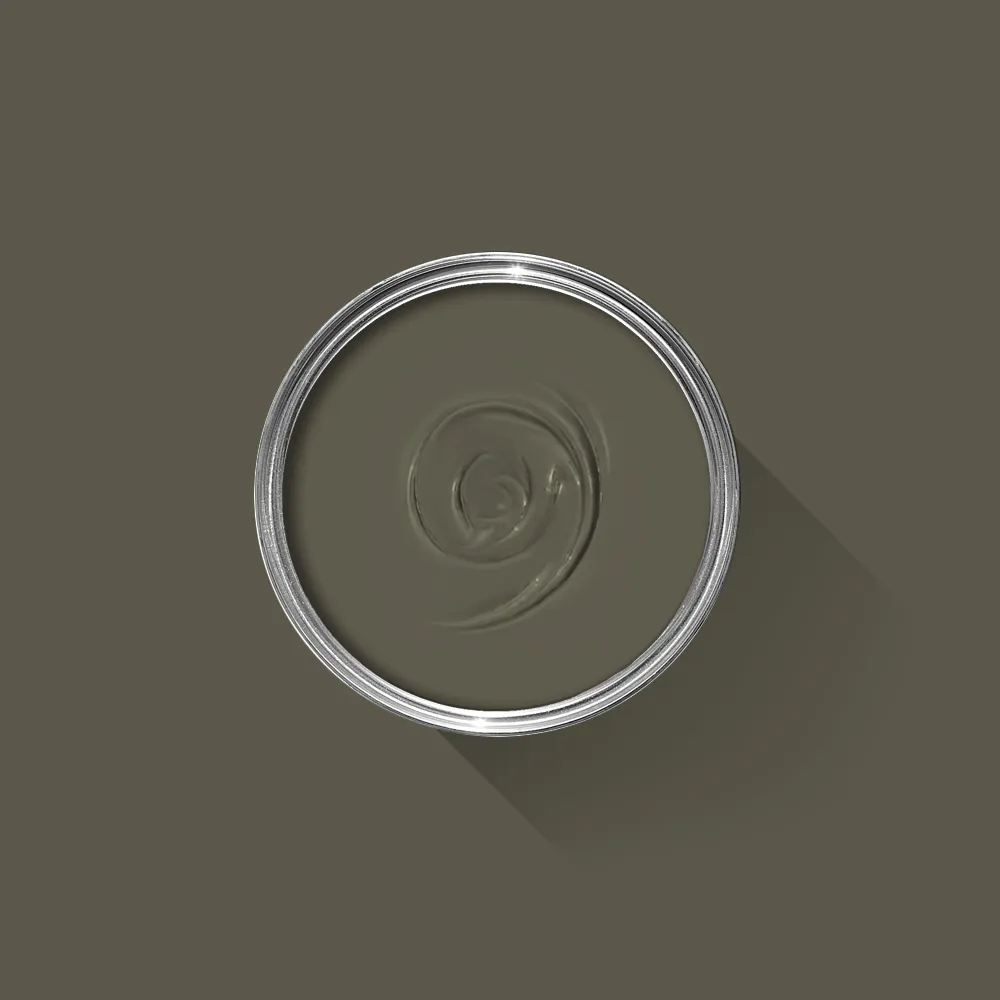 Reduced Green No. 313 | Farrow & Ball Paint | Canada - DeFerrari Home