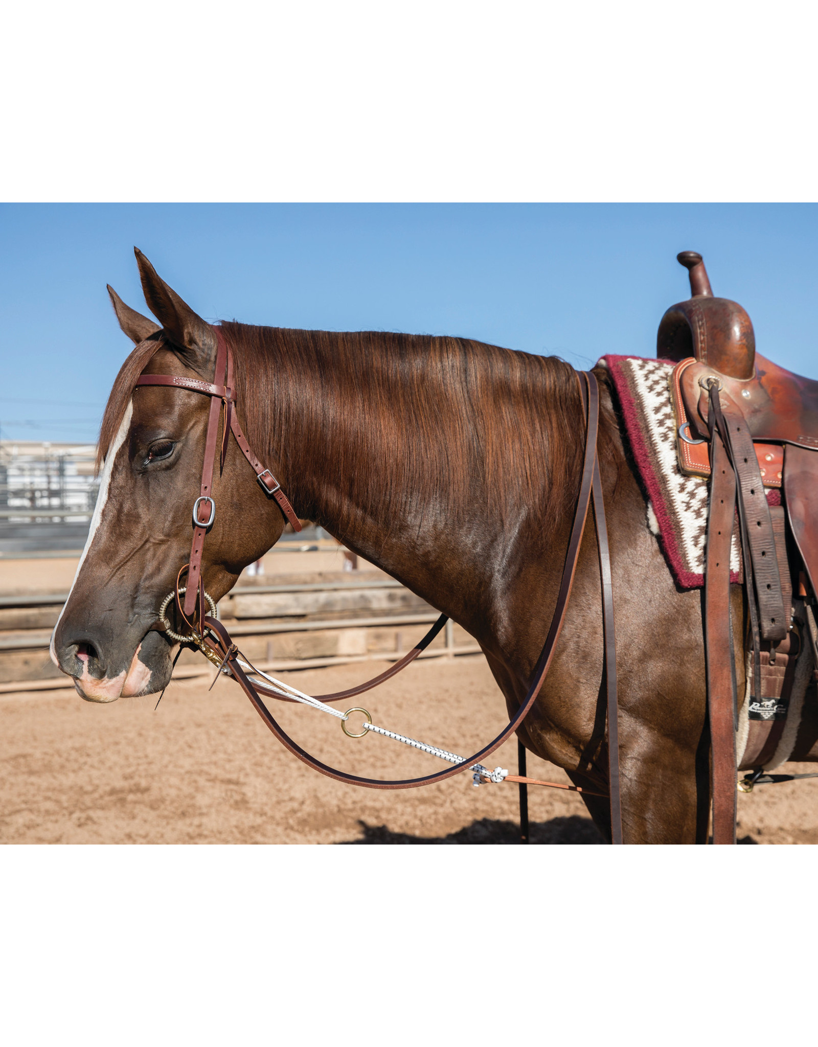 Professional Choice Yo-Yo Head Setter - Nelson Royal's