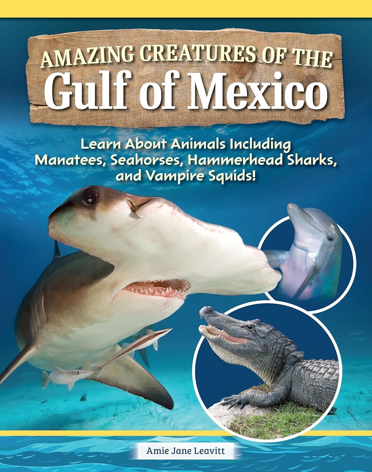 Amazing Creatures of the Gulf of Mexico - Tumbleweed Toys