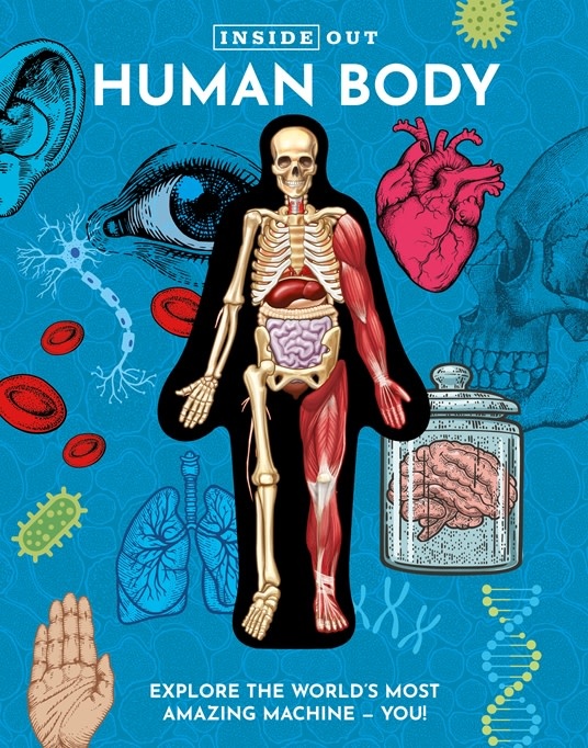Inside Out Human Body - Tildie's Toy Box