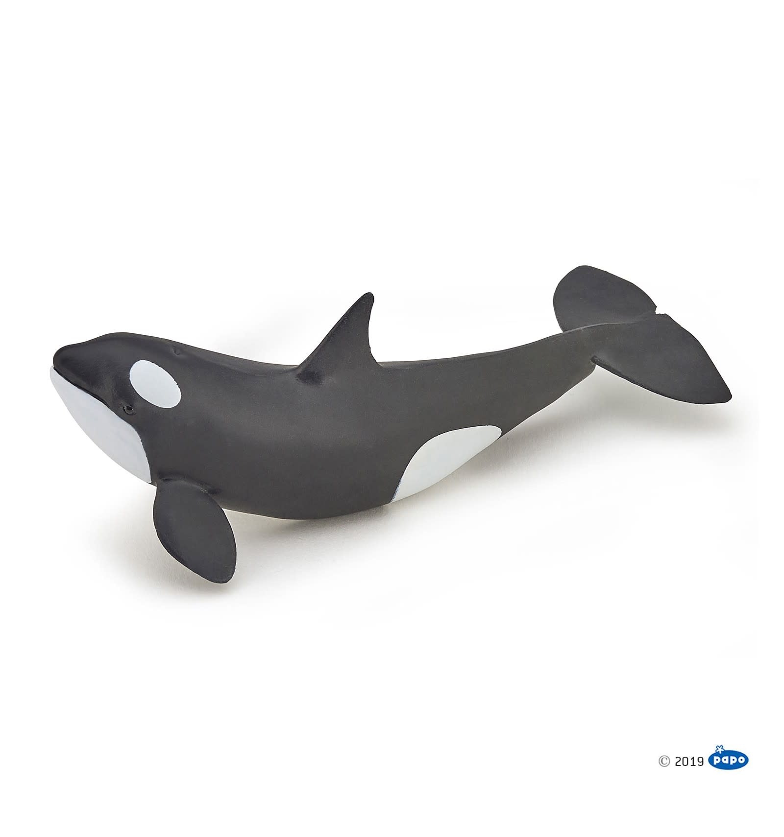 PAPO: Killer Whale Calf - Tildie's Toy Box