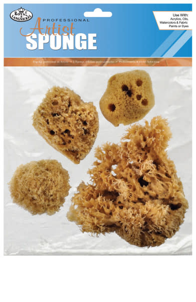 Royal Combination Sponge Set - RISD Store