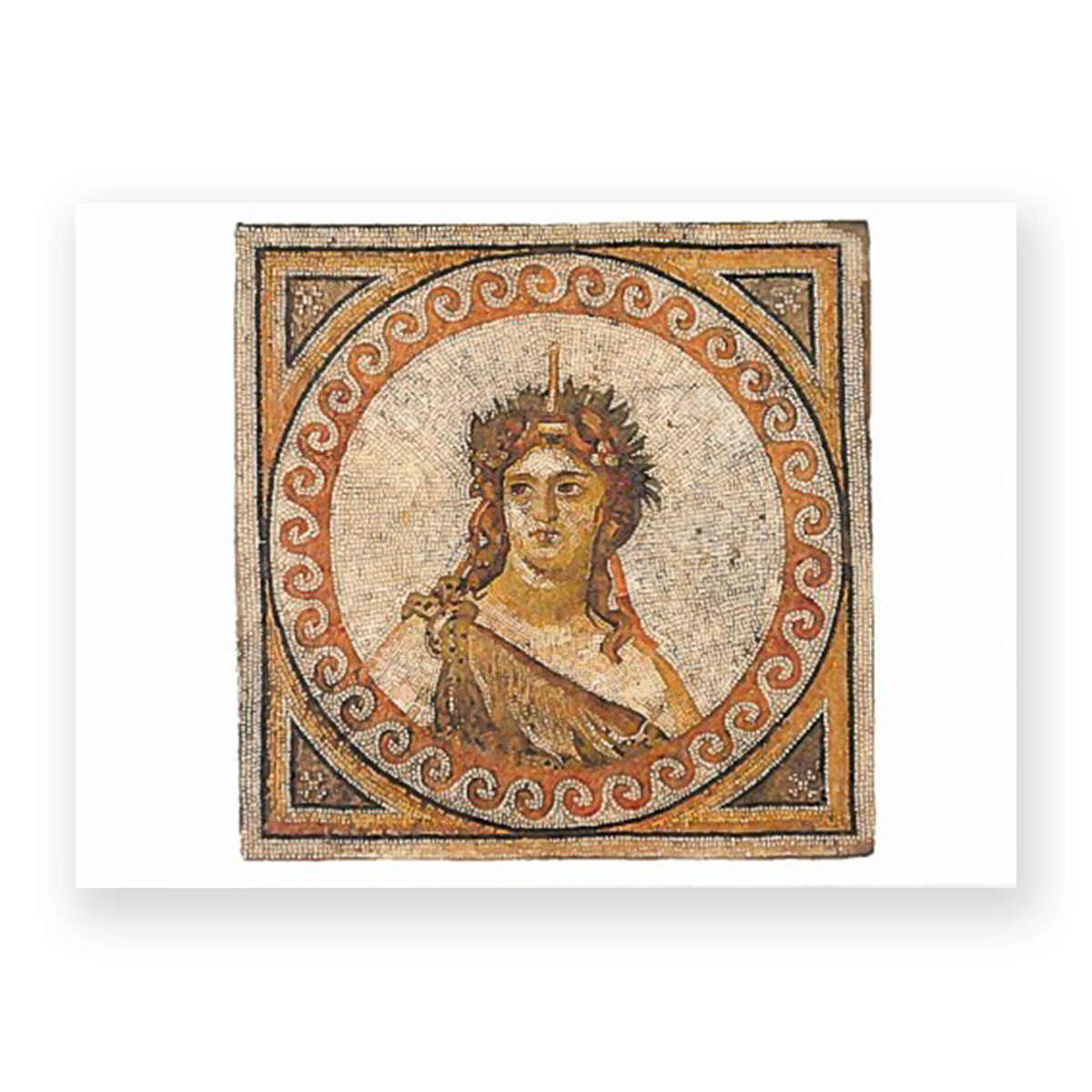 Floor Mosaic Postcard - RISD Store