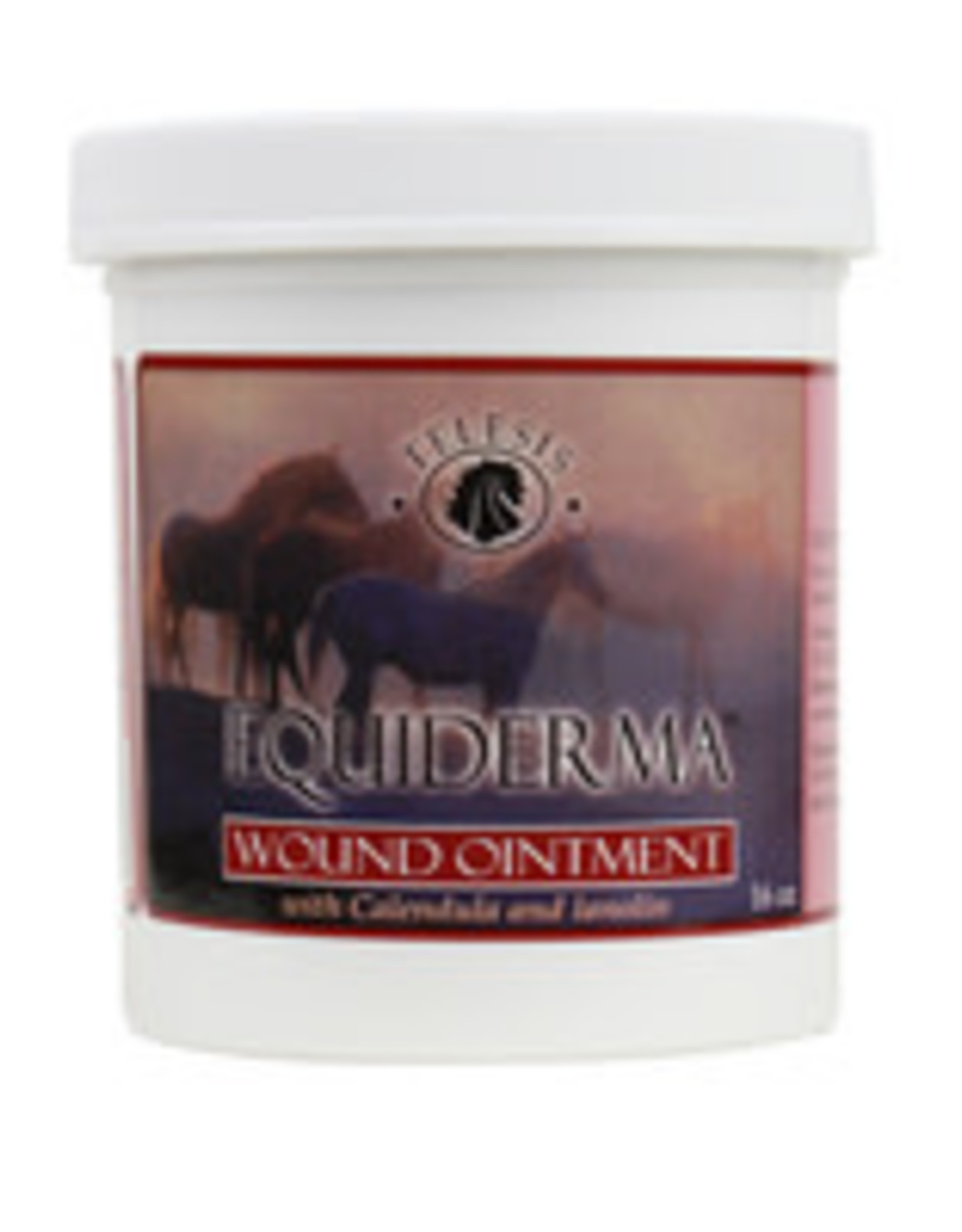 Equiderma Wound Ointment 16 Oz - Everything Equine