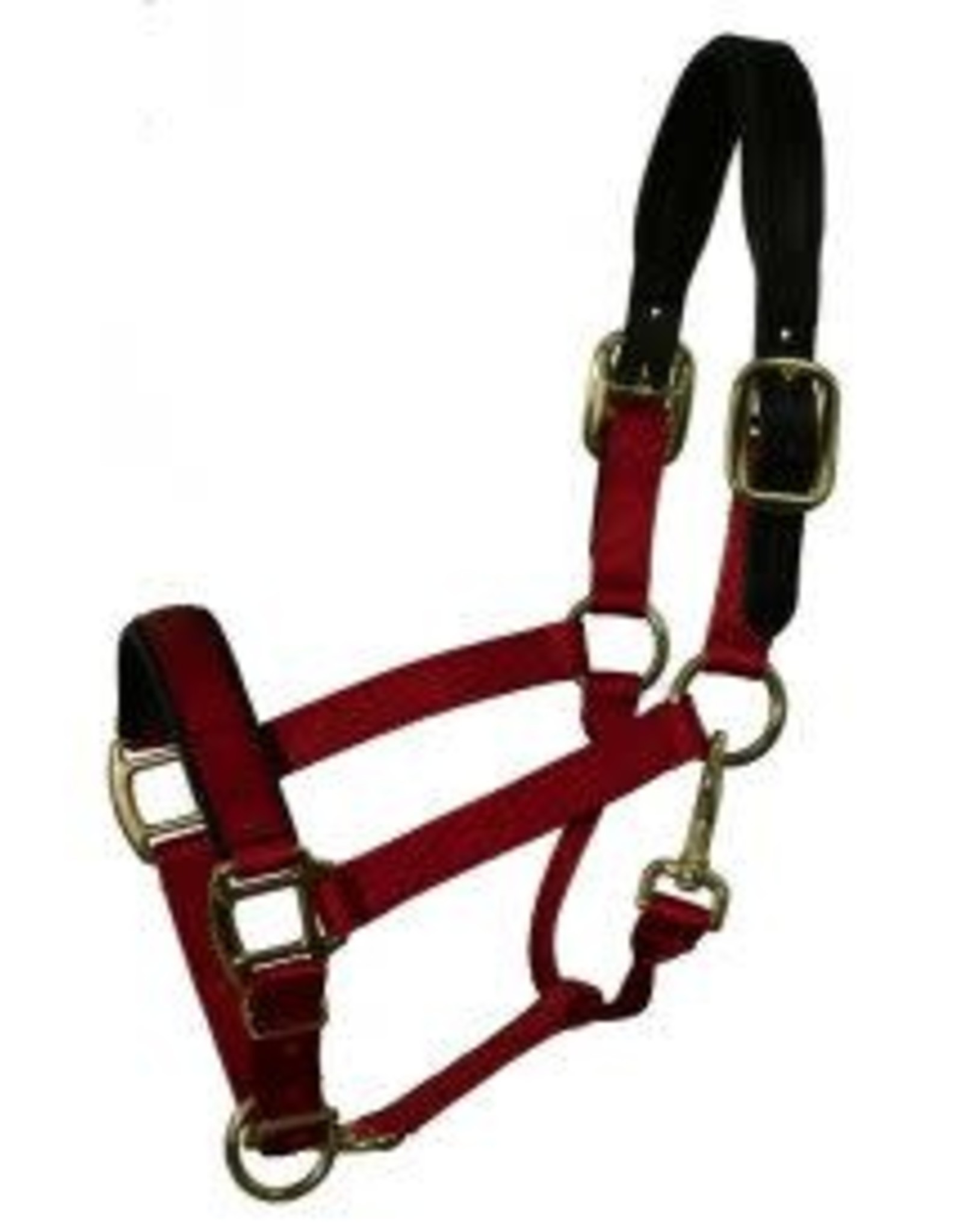 Padded Breakaway Halter - Everything Equine