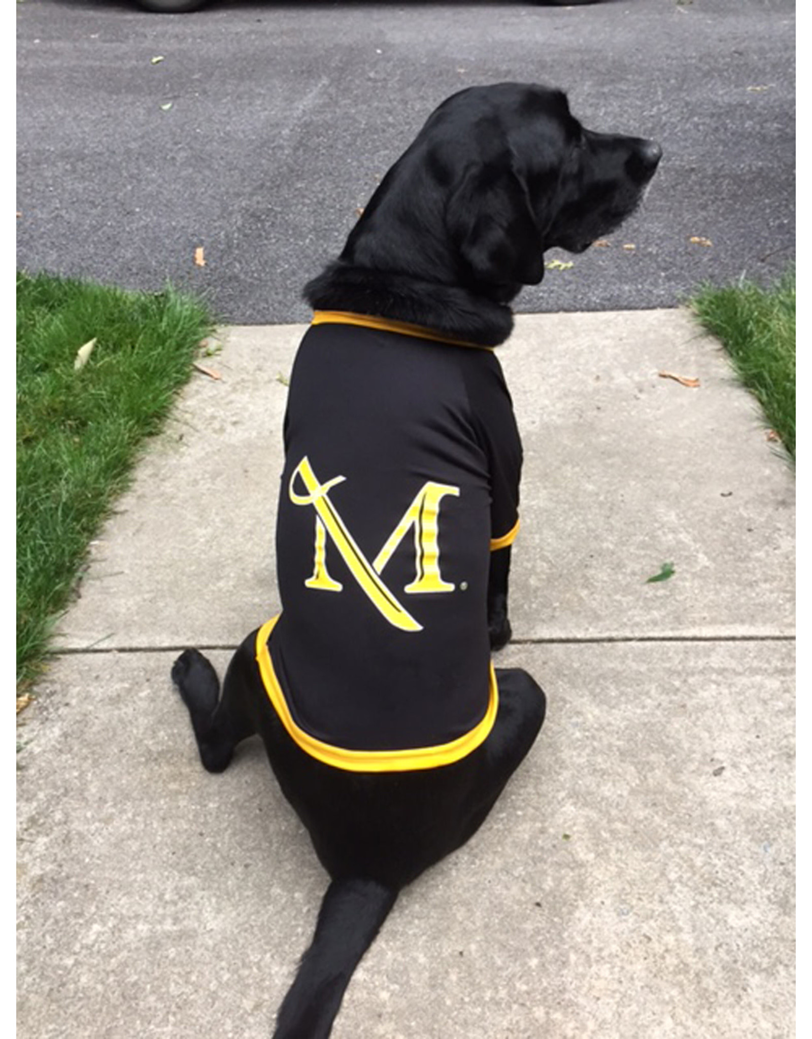 Sublimated Dog Jersey - Millersville University Store