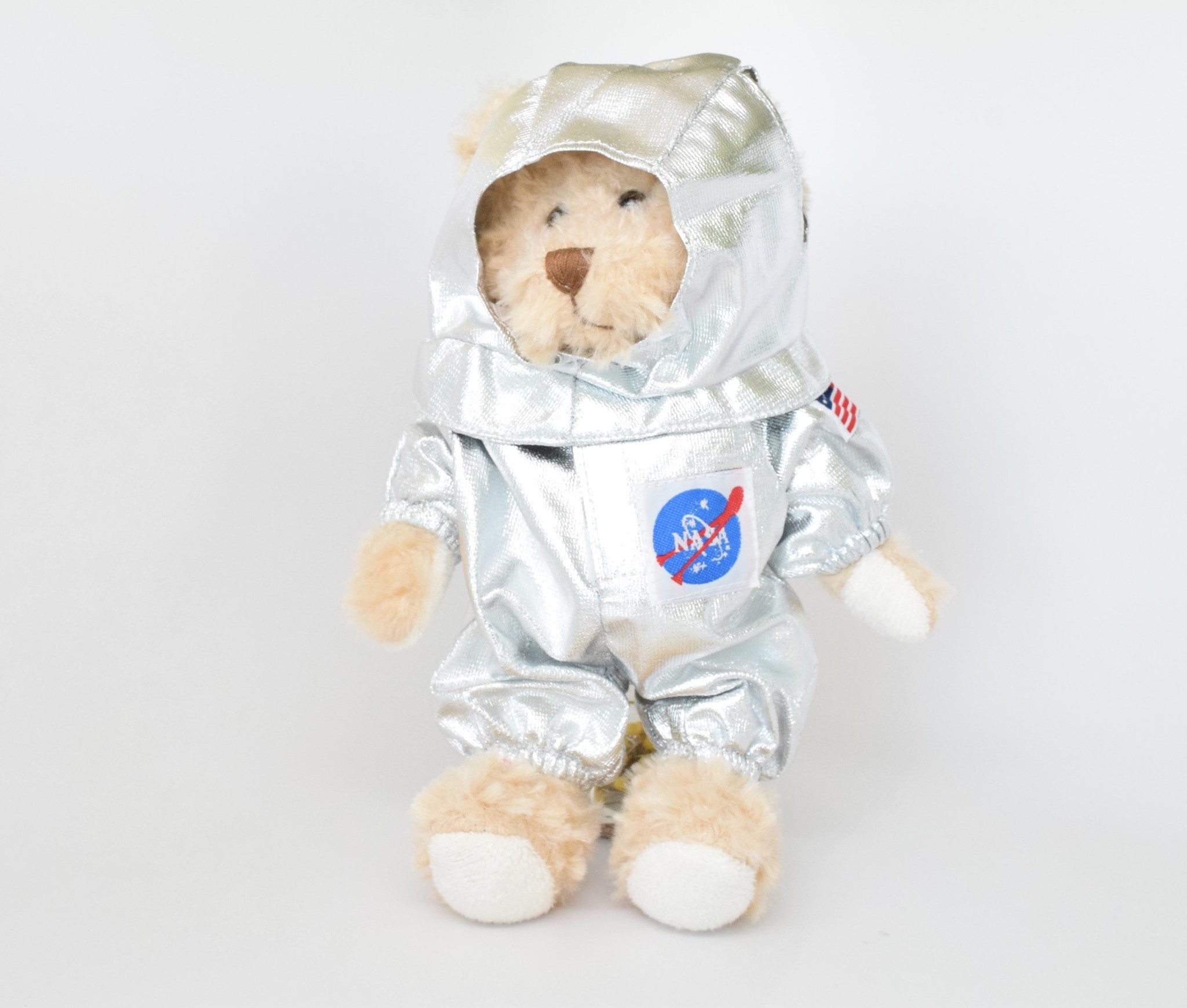 Astronaut Bear