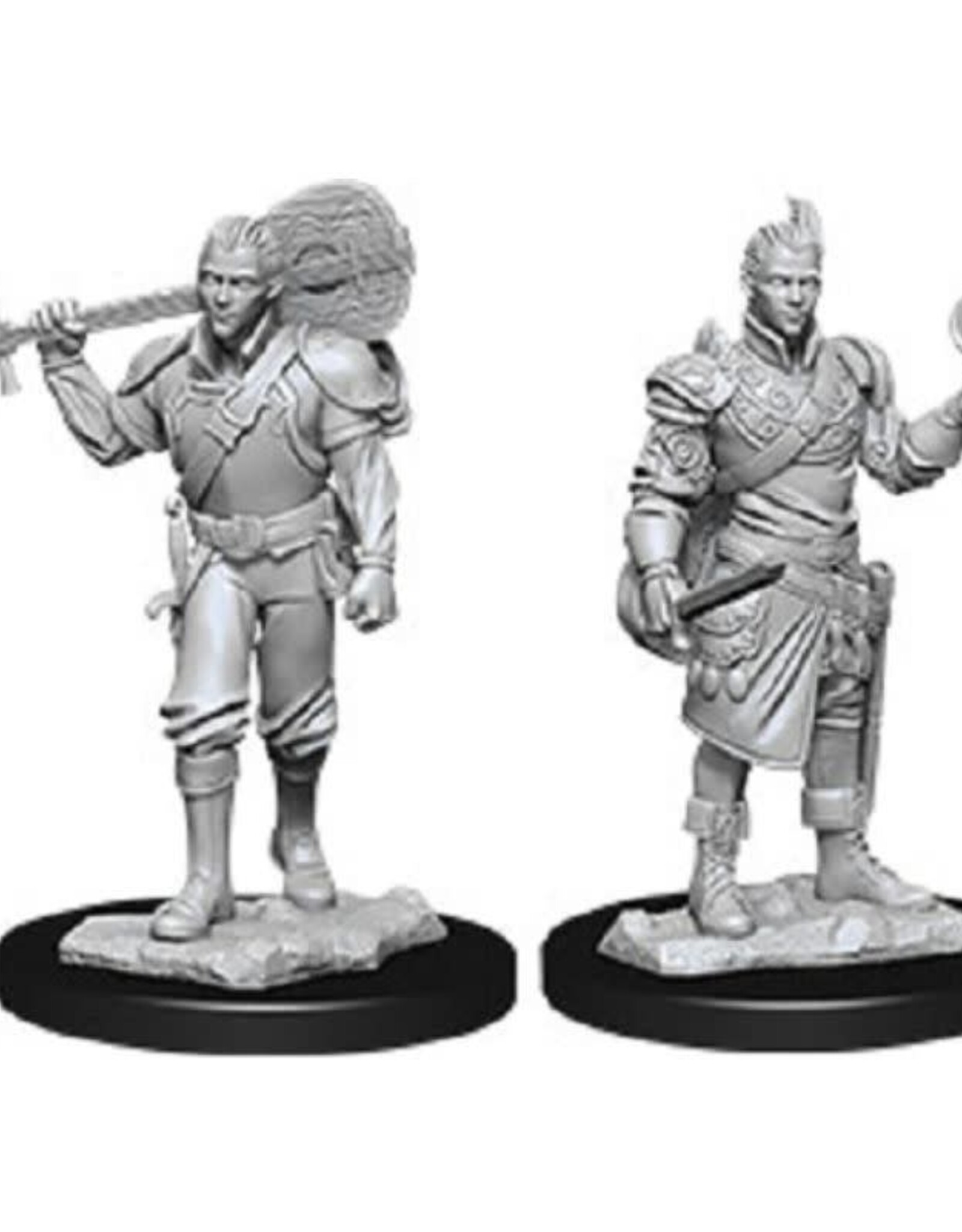 Male Bard Pathfinder