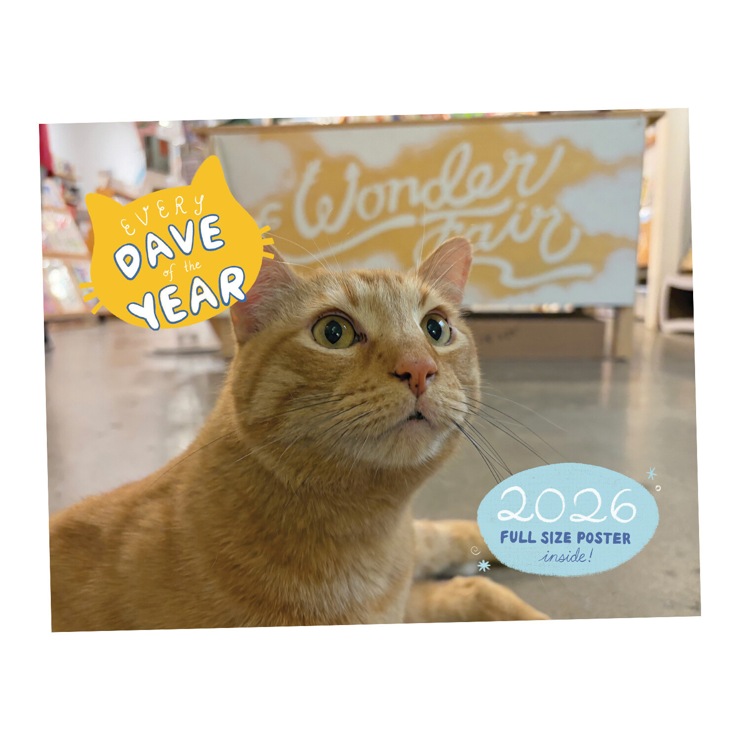 2026 Every Dave of the Year Calendar - Wonder Fair Home Shopping Network